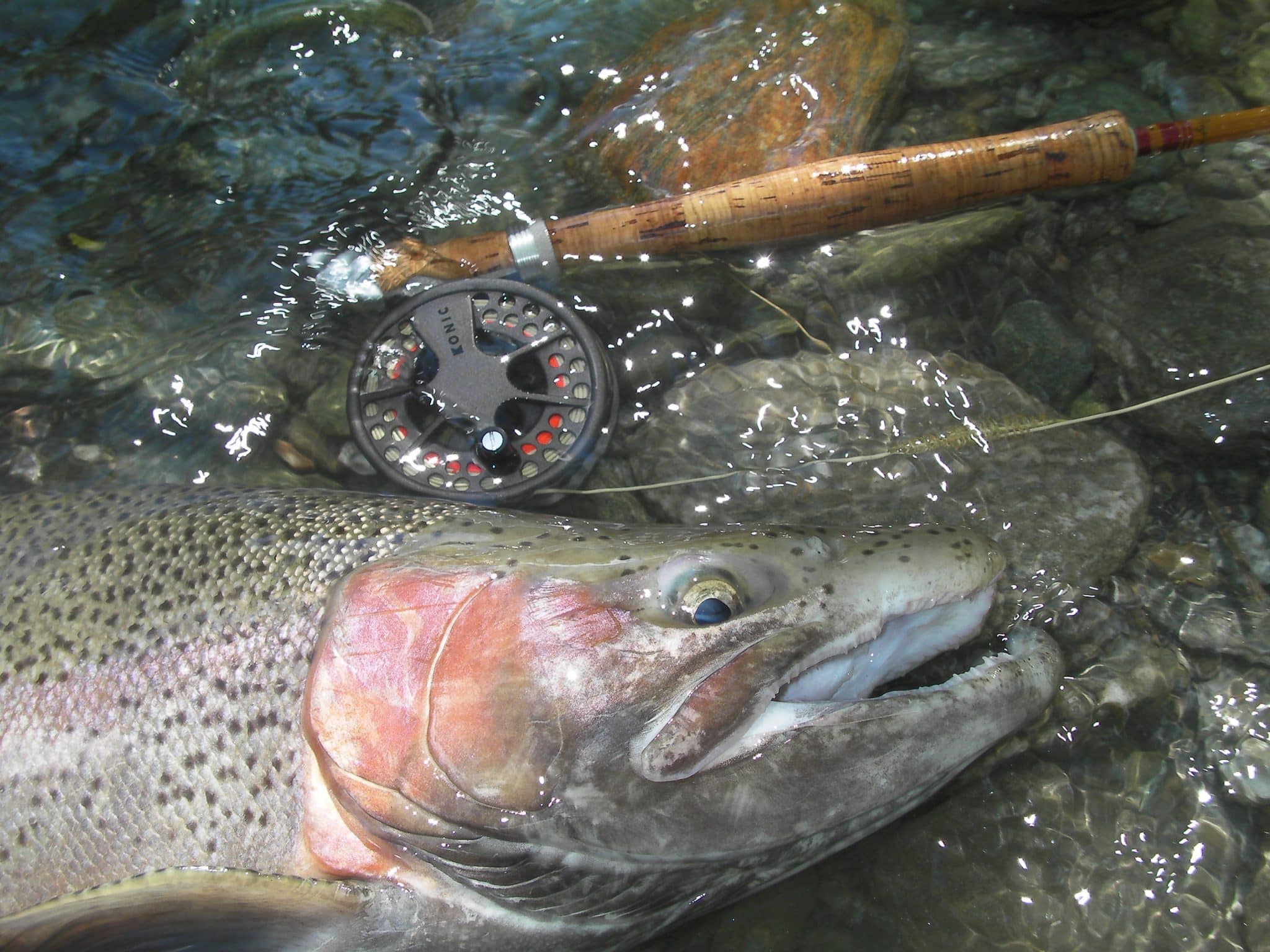Queenstown fly fishing produces big fish - Fly Fishing Expeditions New ...